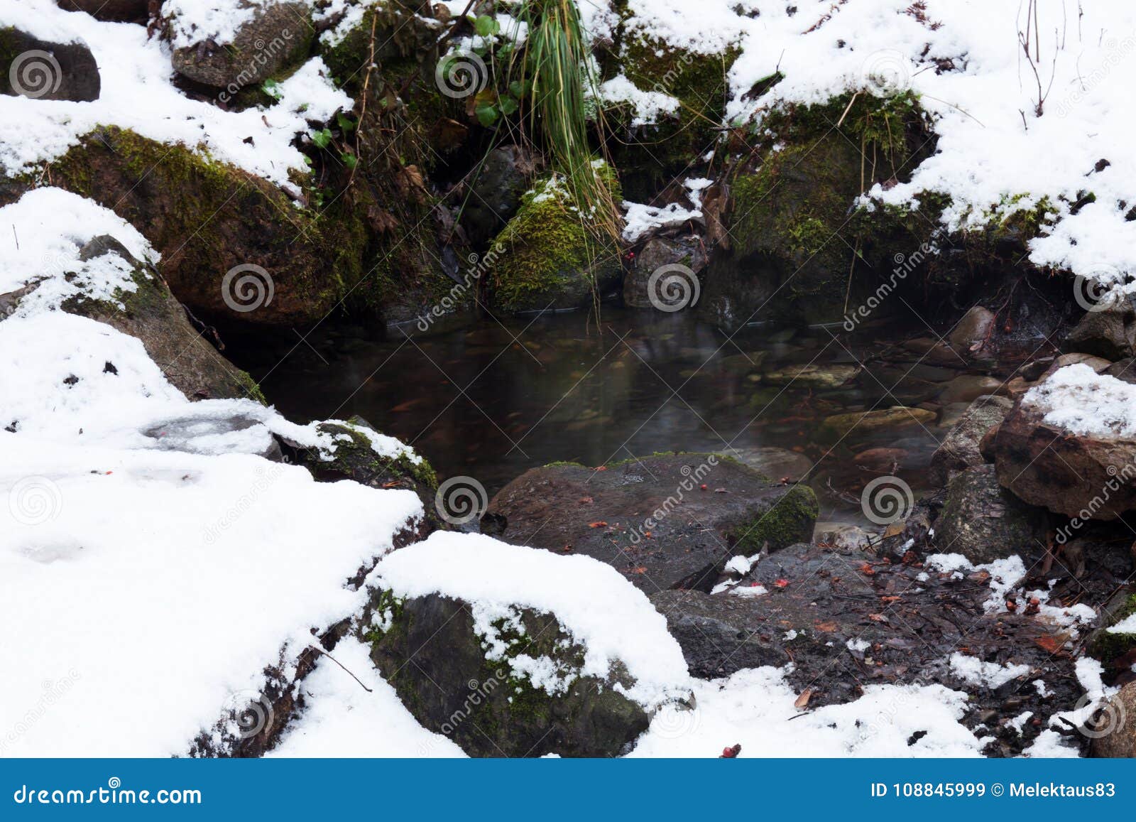 Well in the forest stock image. Image of rock, stones - 108845999