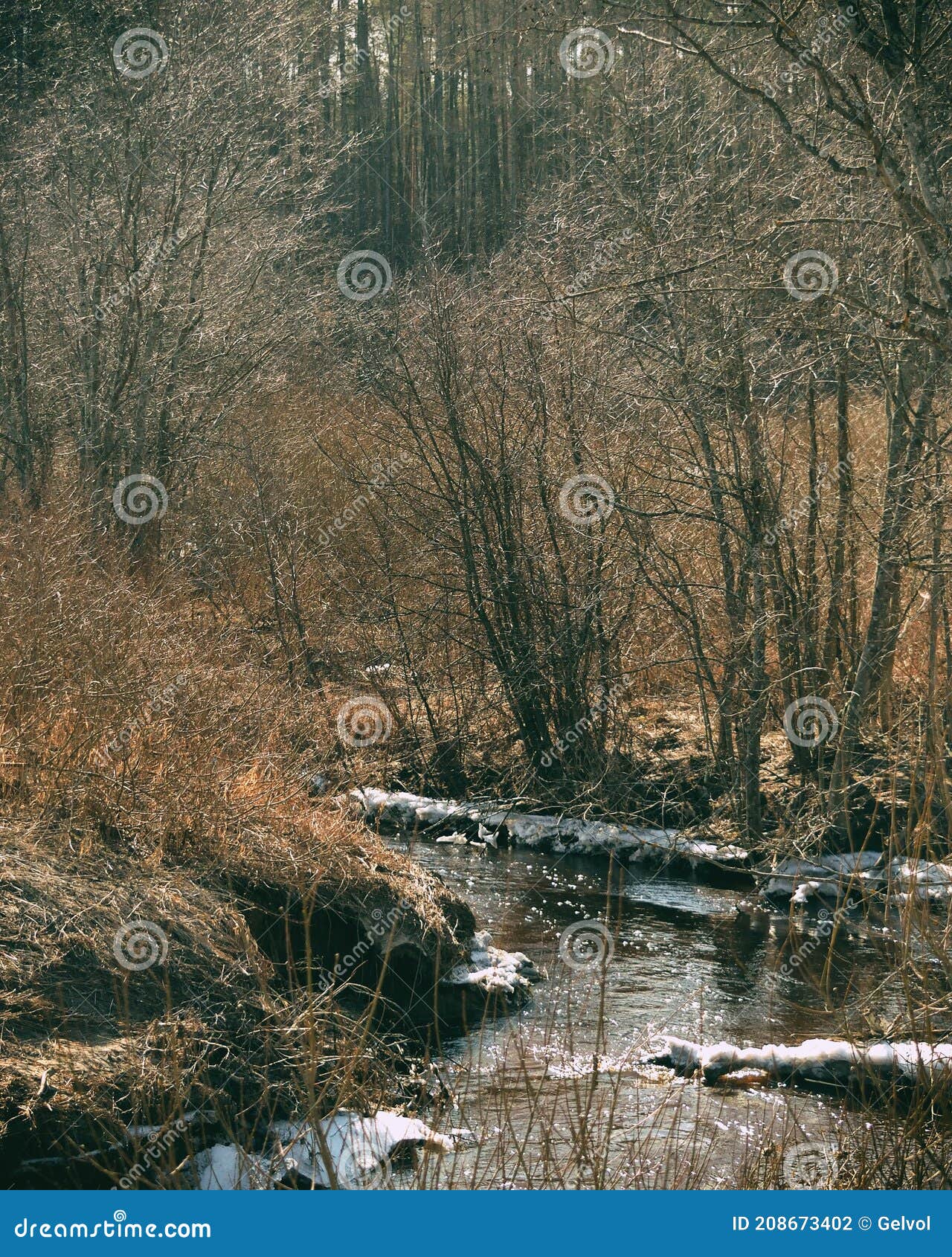 Spring Water Stream Spring Forest Bright March Sun Stock Photo - Image ...
