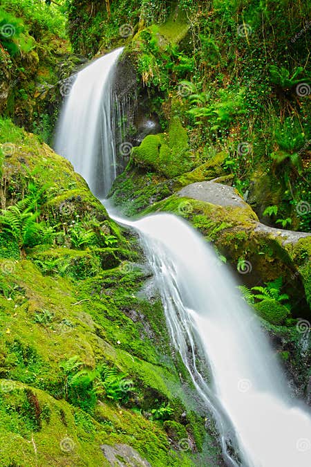 Spring water waterfall stock image. Image of green, natural - 22703841