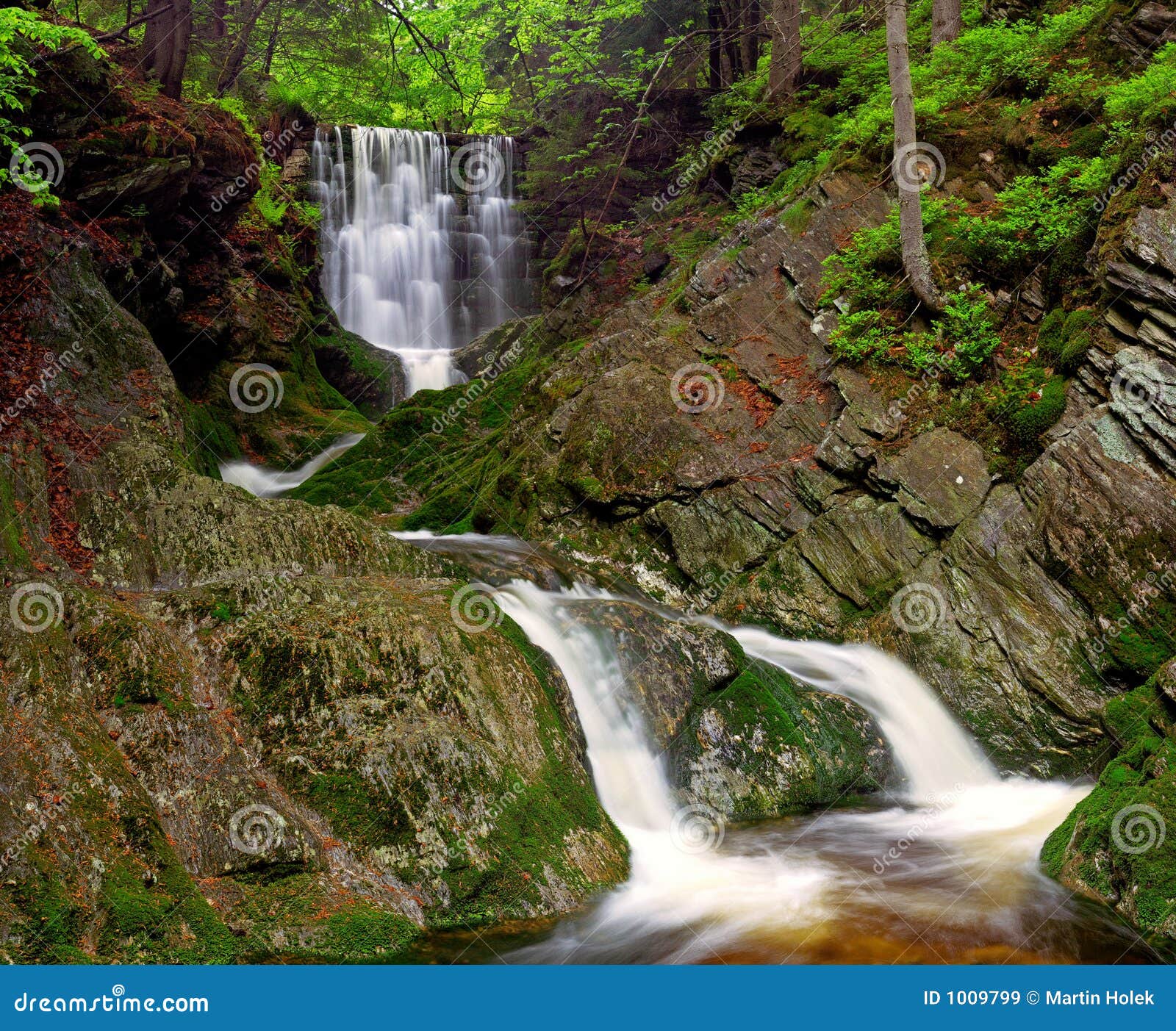 Spring waterfall stock image. Image of foliage, valley - 1009799