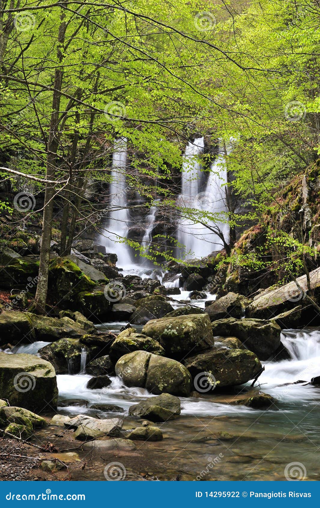 Spring waterfall stock photo. Image of foliage, seasonal - 14295922