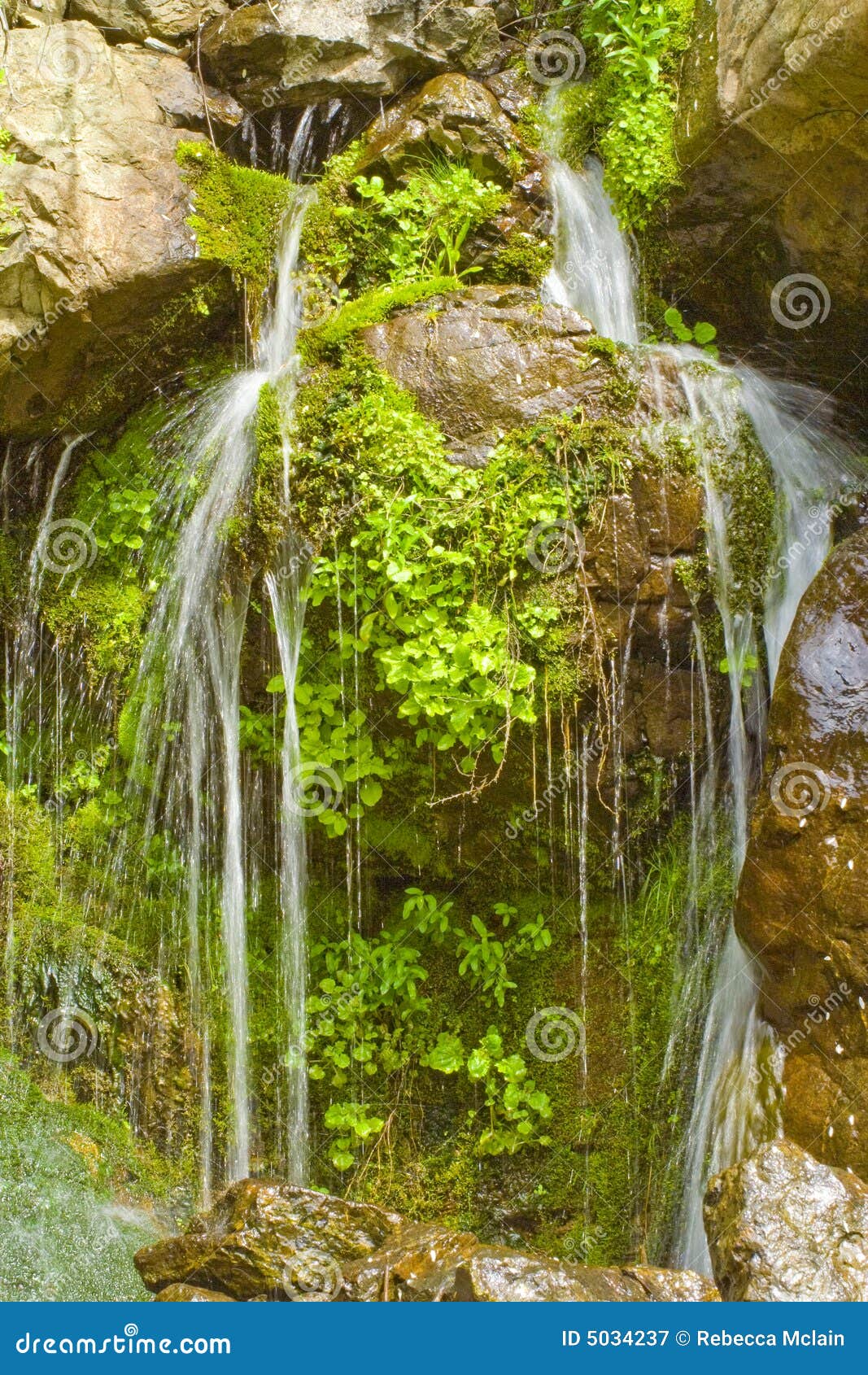 Spring waterfall stock image. Image of vibrant, foliage - 5034237
