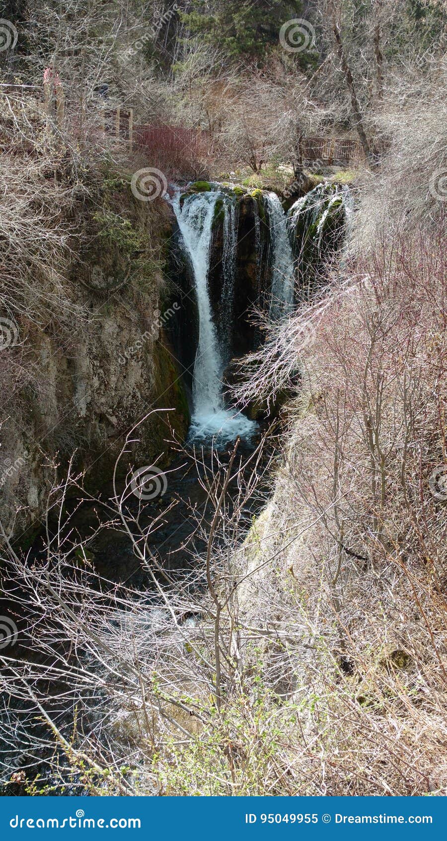 Spring Waterfall stock image. Image of ocean, animals - 95049955