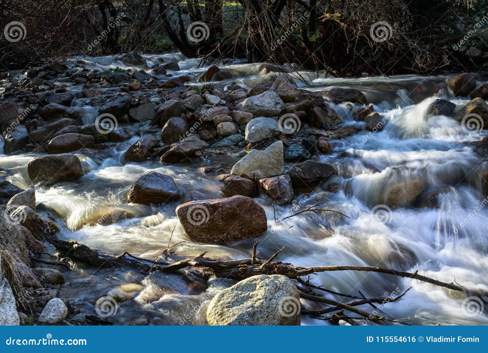 Spring waters. stock photo. Image of water, light, motion - 115554616