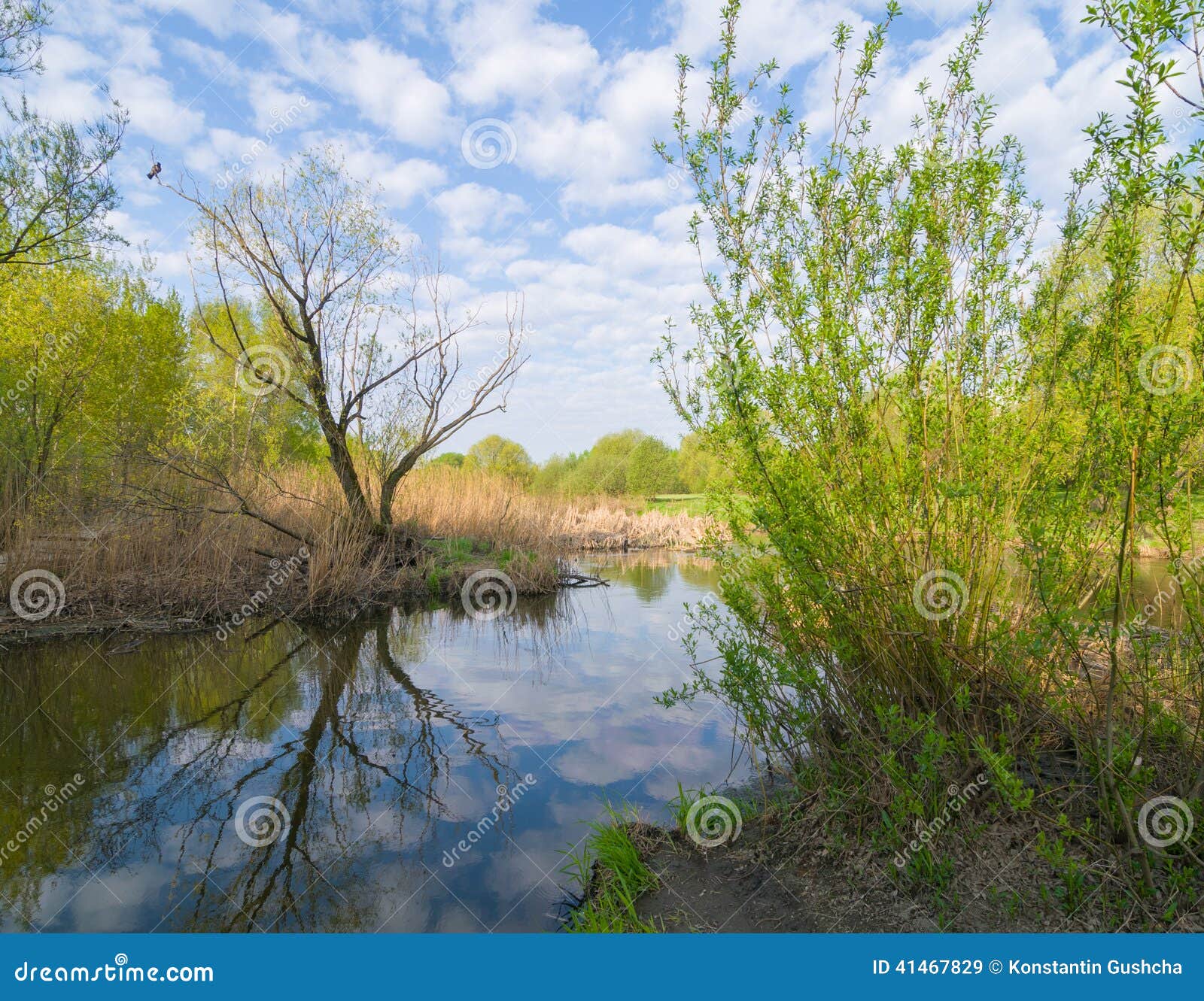 Spring waterscape stock image. Image of outdoor, green - 41467829