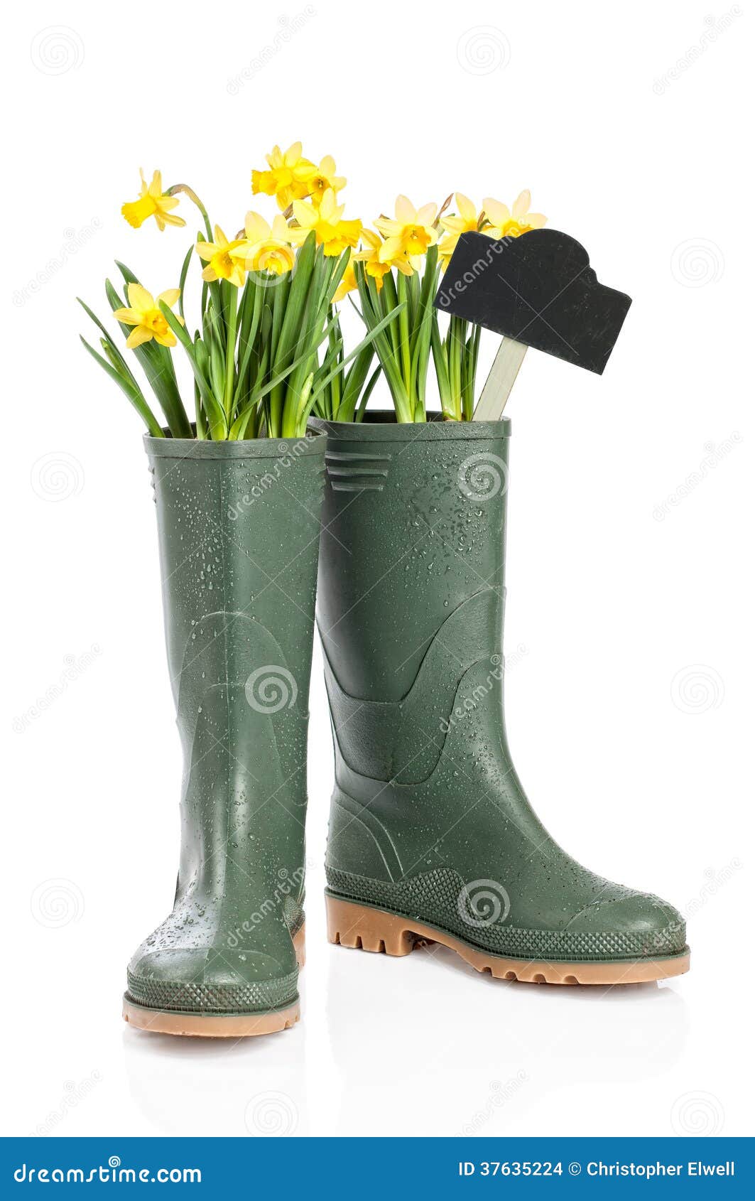 Spring Wellies stock photo. Image of gardening, bulbs - 37635224