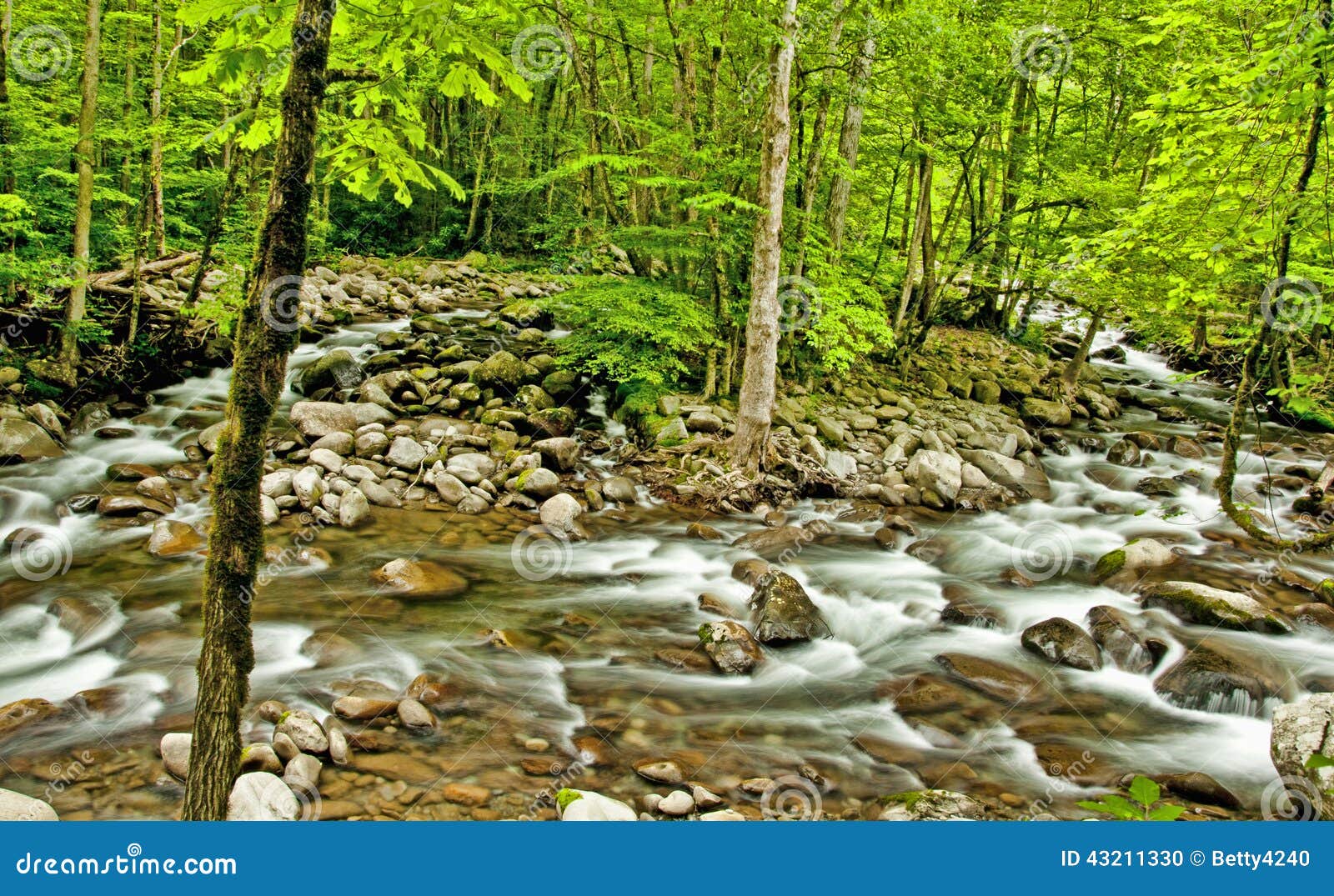 Spring and White Water in the Great Smoky Mountains. HDR Stock Photo ...