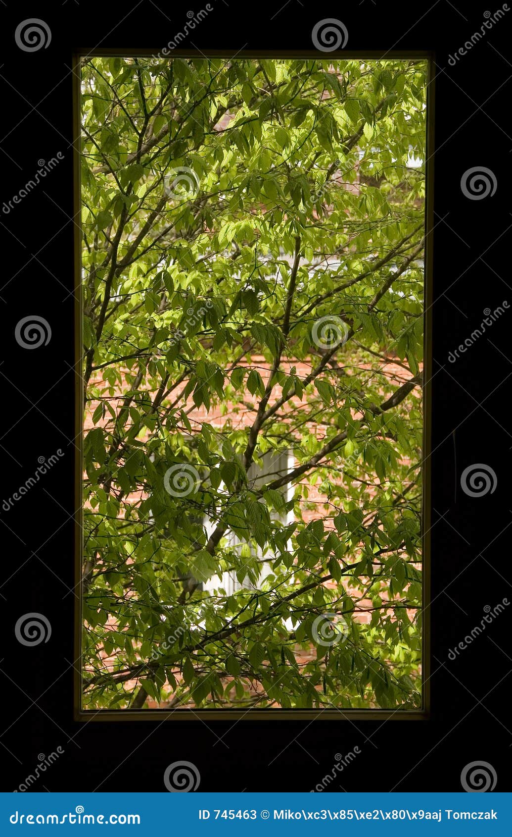 Spring Window stock image. Image of poland, house, spring - 745463