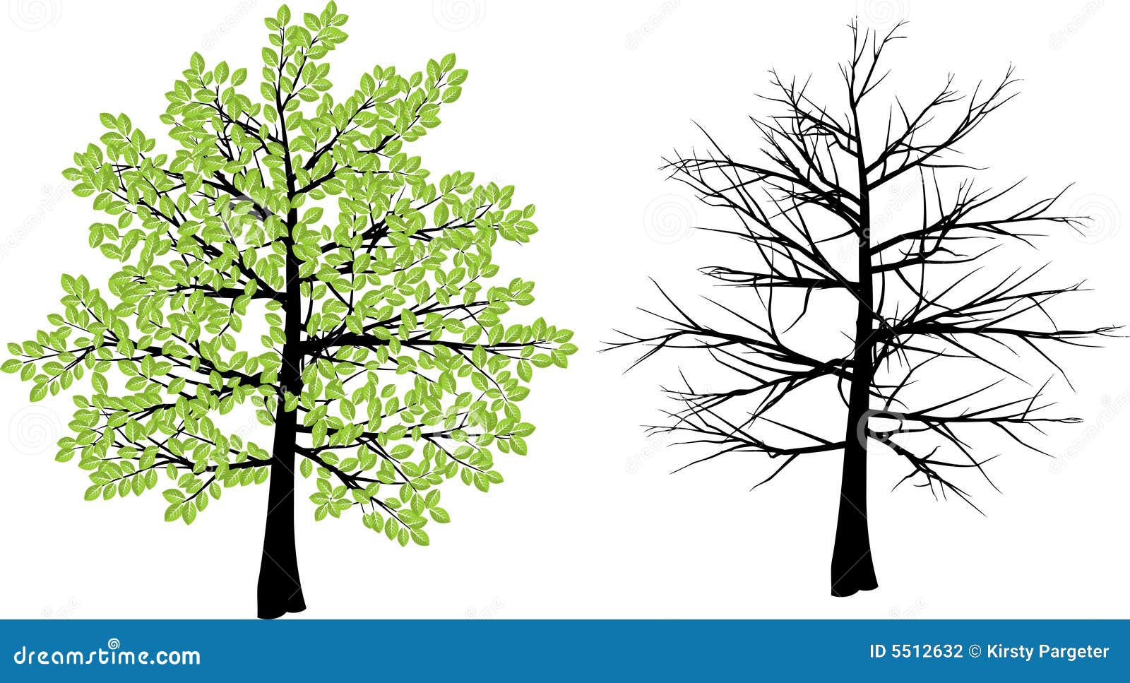 Spring and winter tree stock vector. Illustration of leaf - 5512632