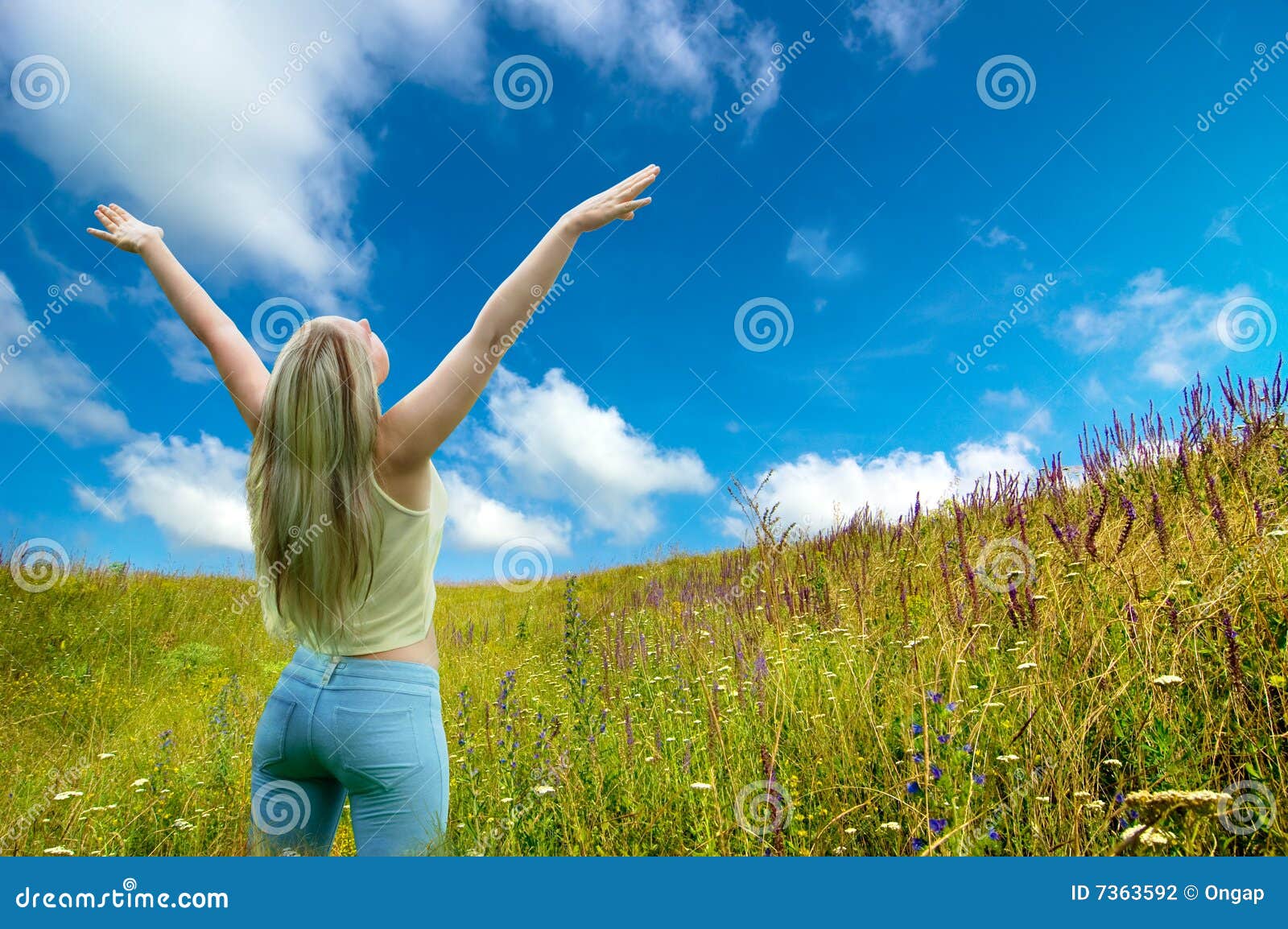 Spring woman stock photo. Image of casual, field, person - 7363592