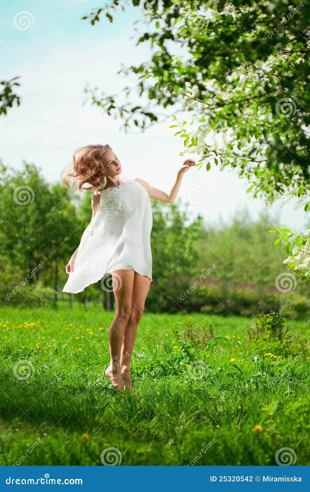 Spring Woman Blossoming Garden Stock Photo - Image of lifestyle ...