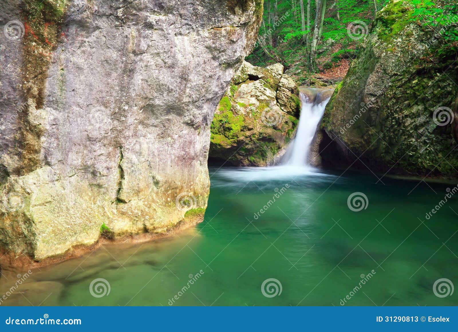 Spring Wood and River. Spring Rill Flow. Stock Image - Image of ...