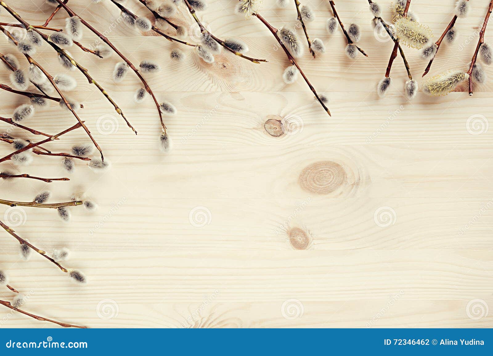 Spring Wooden Background with Branches of Willow. Copy Space ...