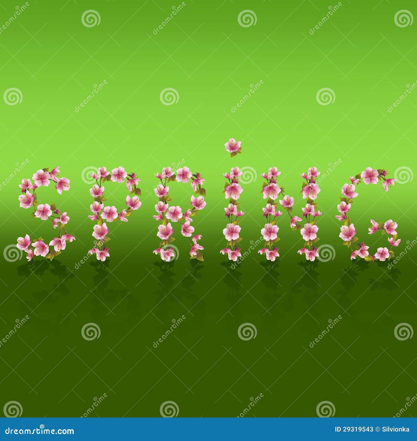 Spring Word, Sakura Blossom - Japanese Cherry Tree Stock Vector ...