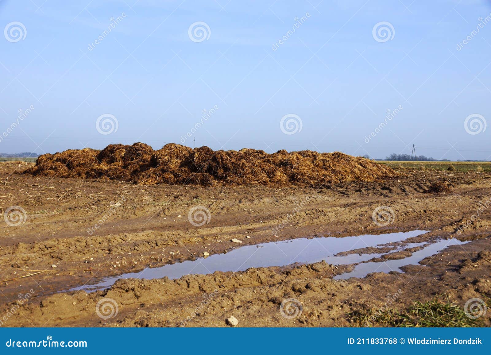 Stack Of Fertilizer From Cow Manure And Straw In Countryside Farm ...