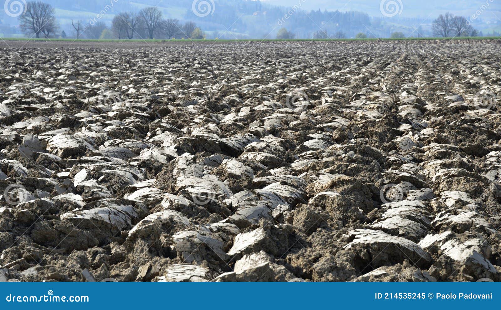 Turned / Worked Soil Closeup Of Sand And Clover Plants. Soil Landscape ...