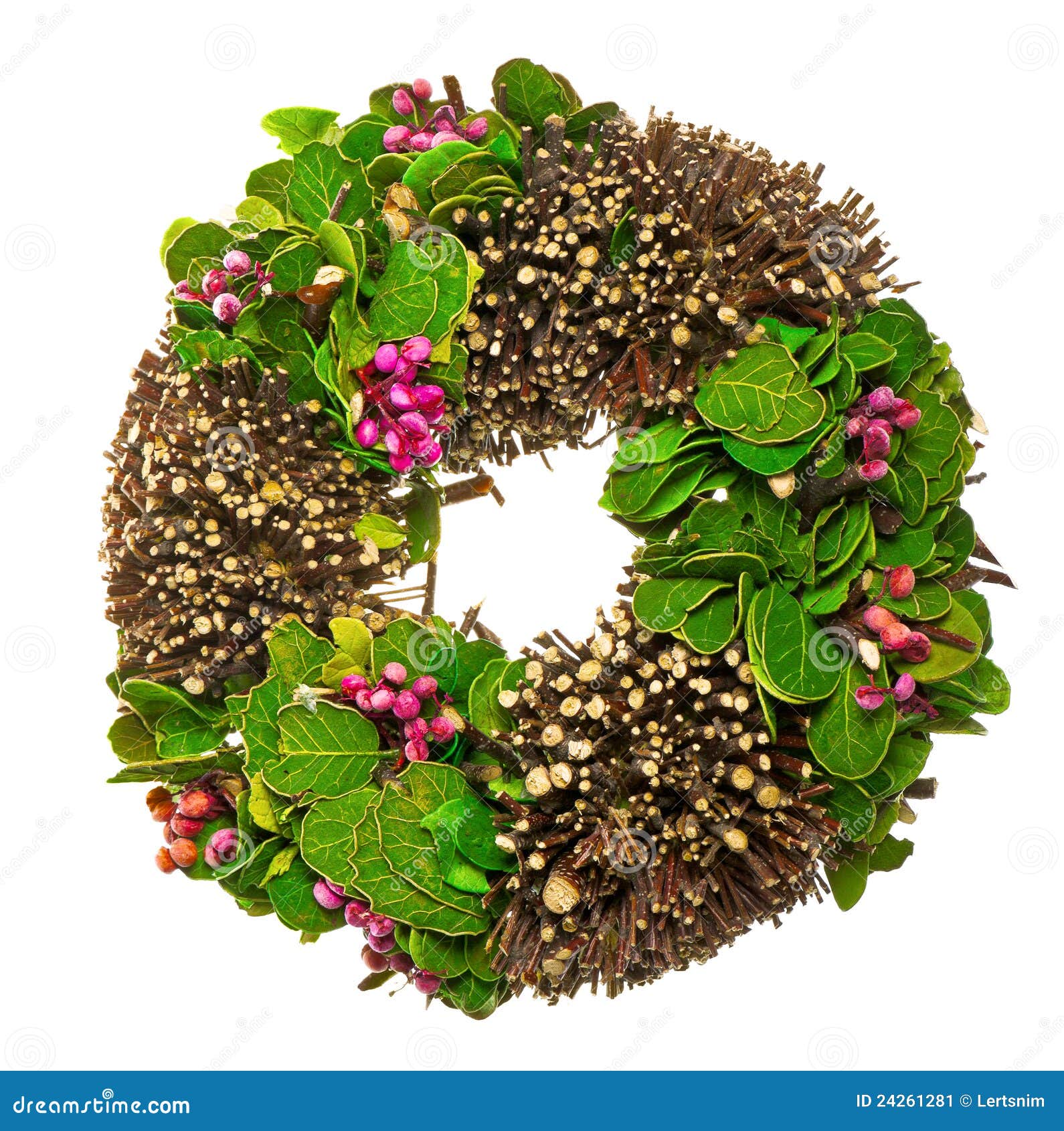 Spring Wreath with Leaves and Berrys Stock Image - Image of needle ...