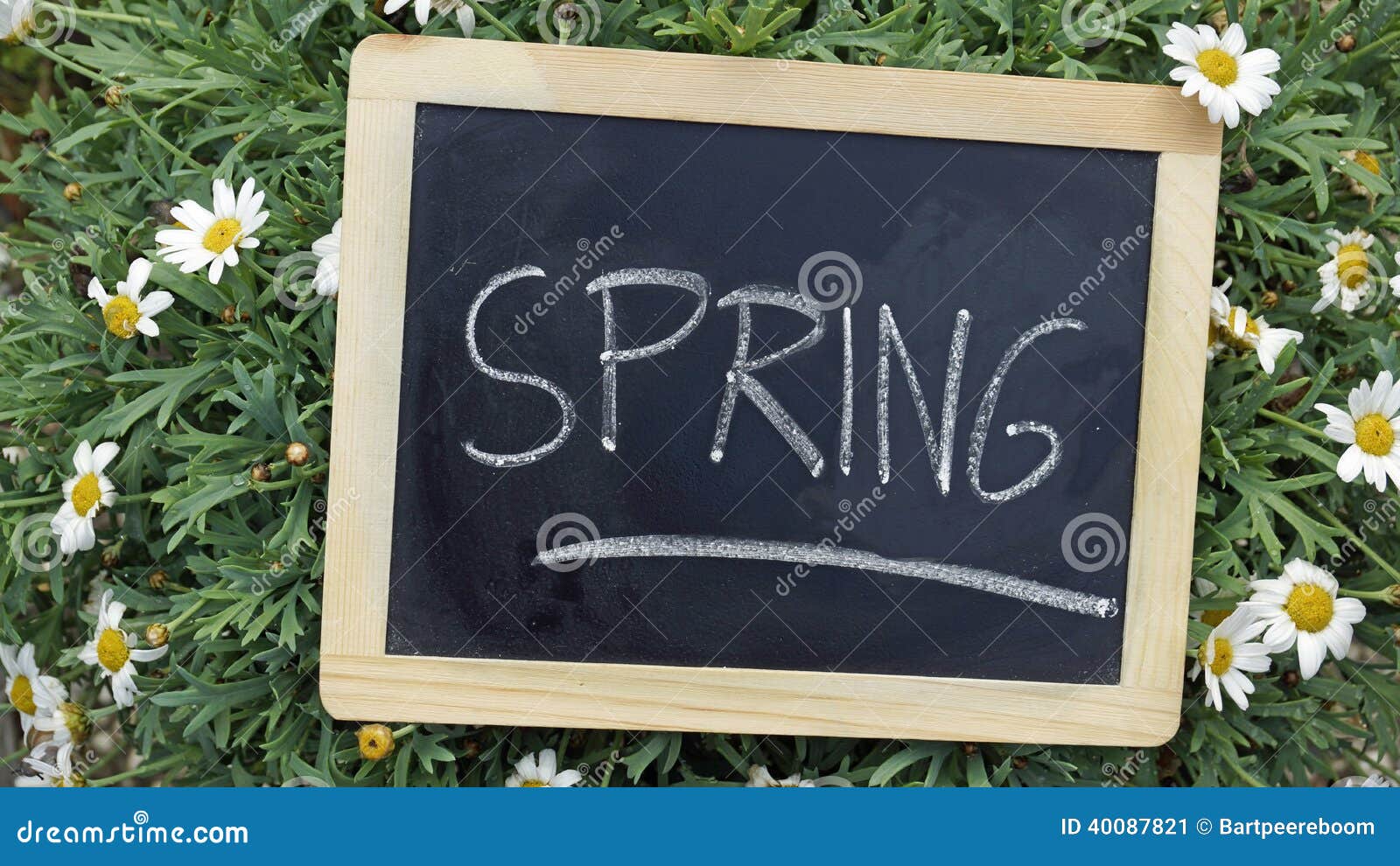 Spring written stock image. Image of flower, conceptual - 40087821