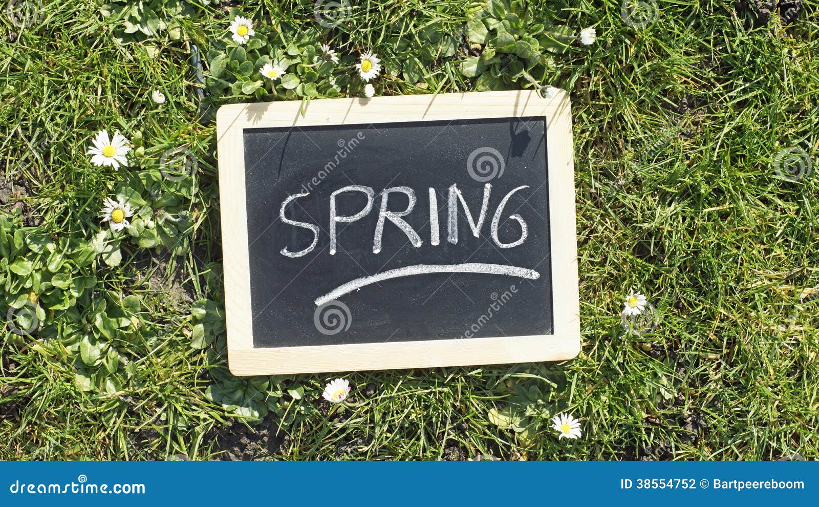 Spring written in a park stock photo. Image of green - 38554752