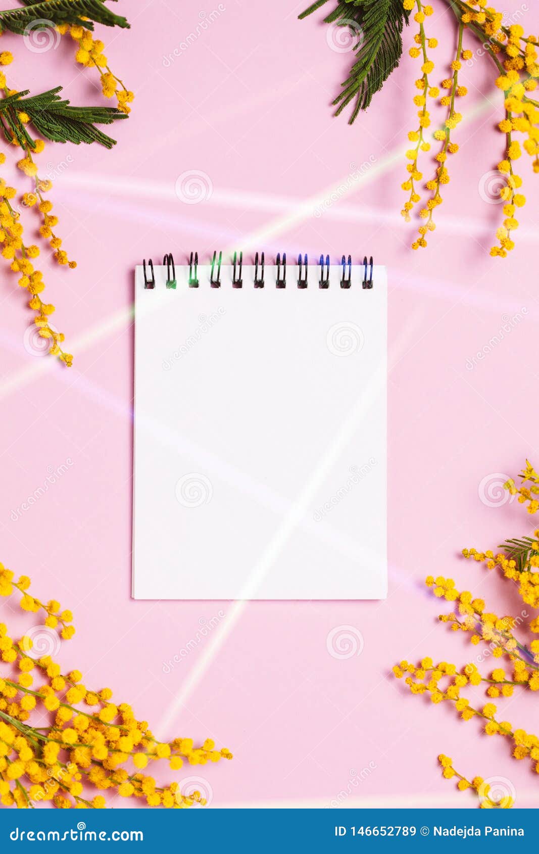 Spring Yellow Flowers and Empty Notepad on Trendy Background Stock ...