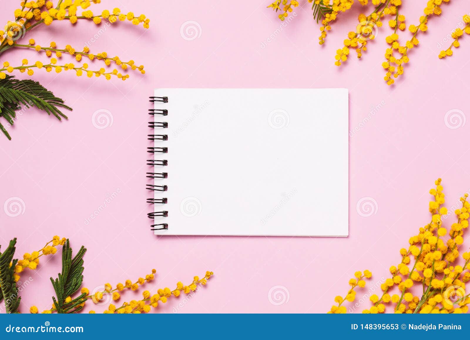Spring Yellow Flowers and Empty Notepad on Trendy Background Stock ...