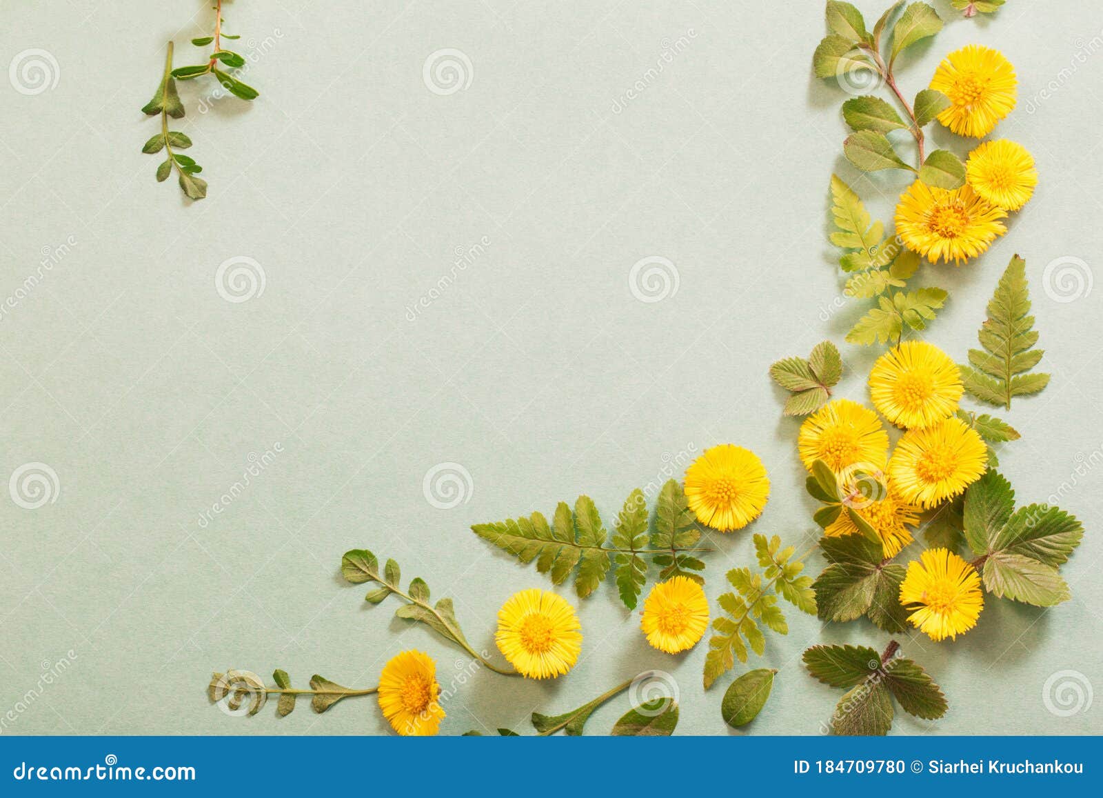 The Spring Yellow Flowers on Paper Background Stock Photo - Image of ...