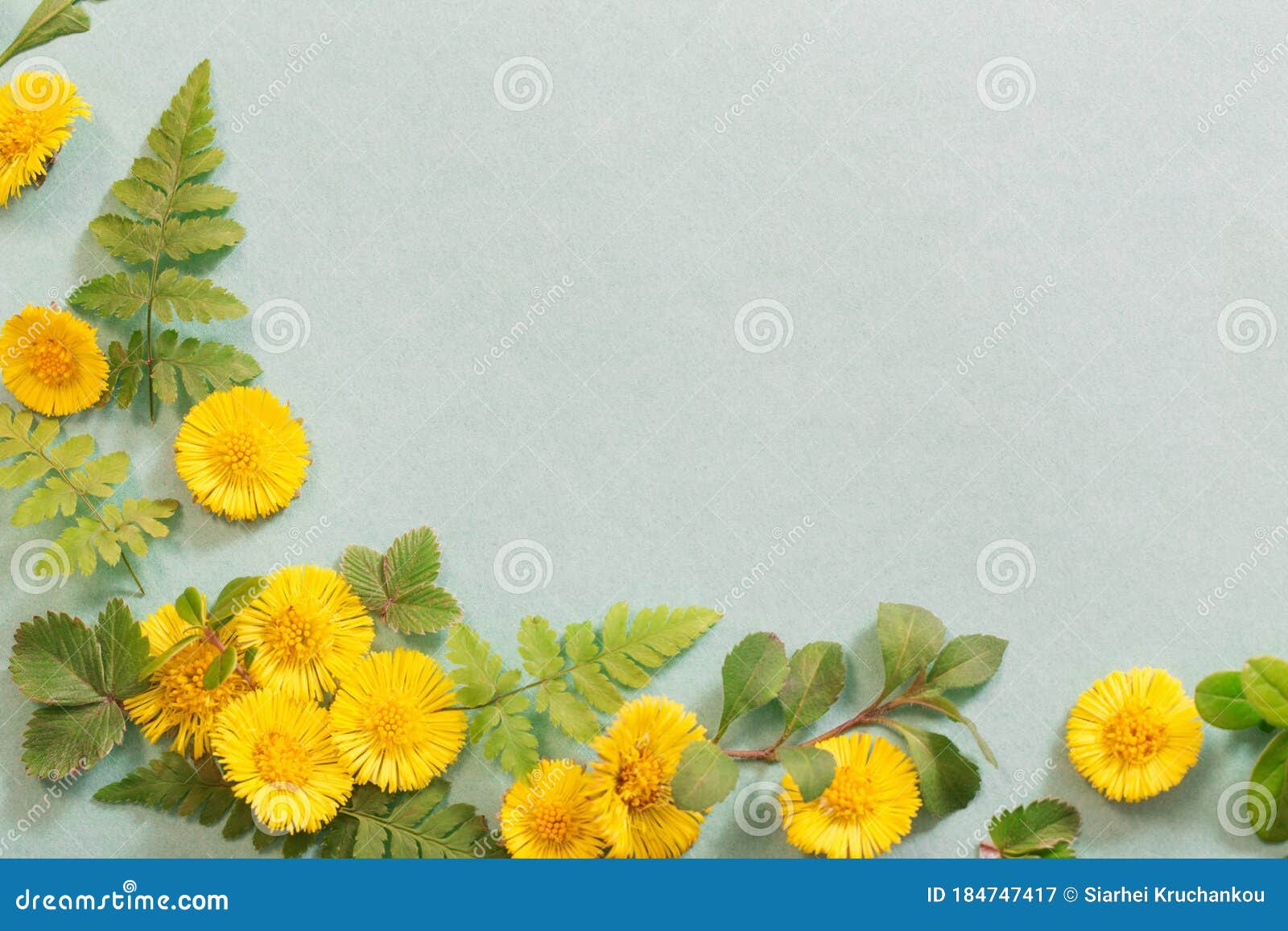 The Spring Yellow Flowers on Paper Background Stock Image - Image of ...