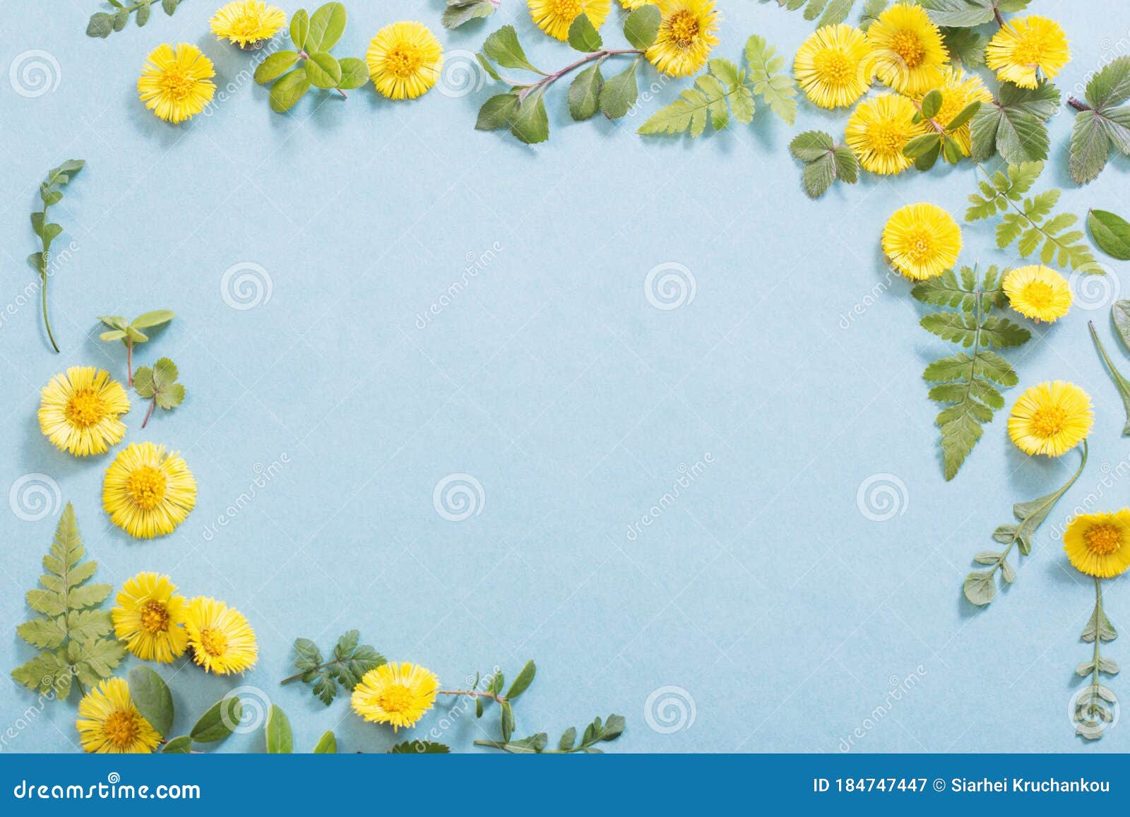 The Spring Yellow Flowers on Paper Background Stock Image - Image of ...