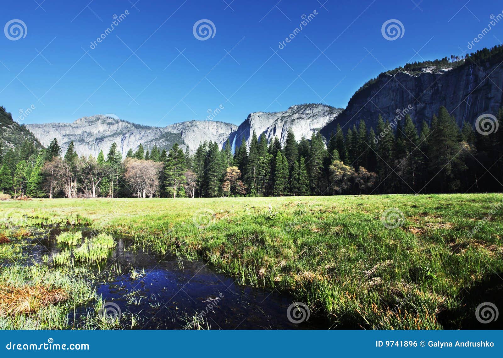 Spring in Yosemite stock photo. Image of travel, america - 9741896