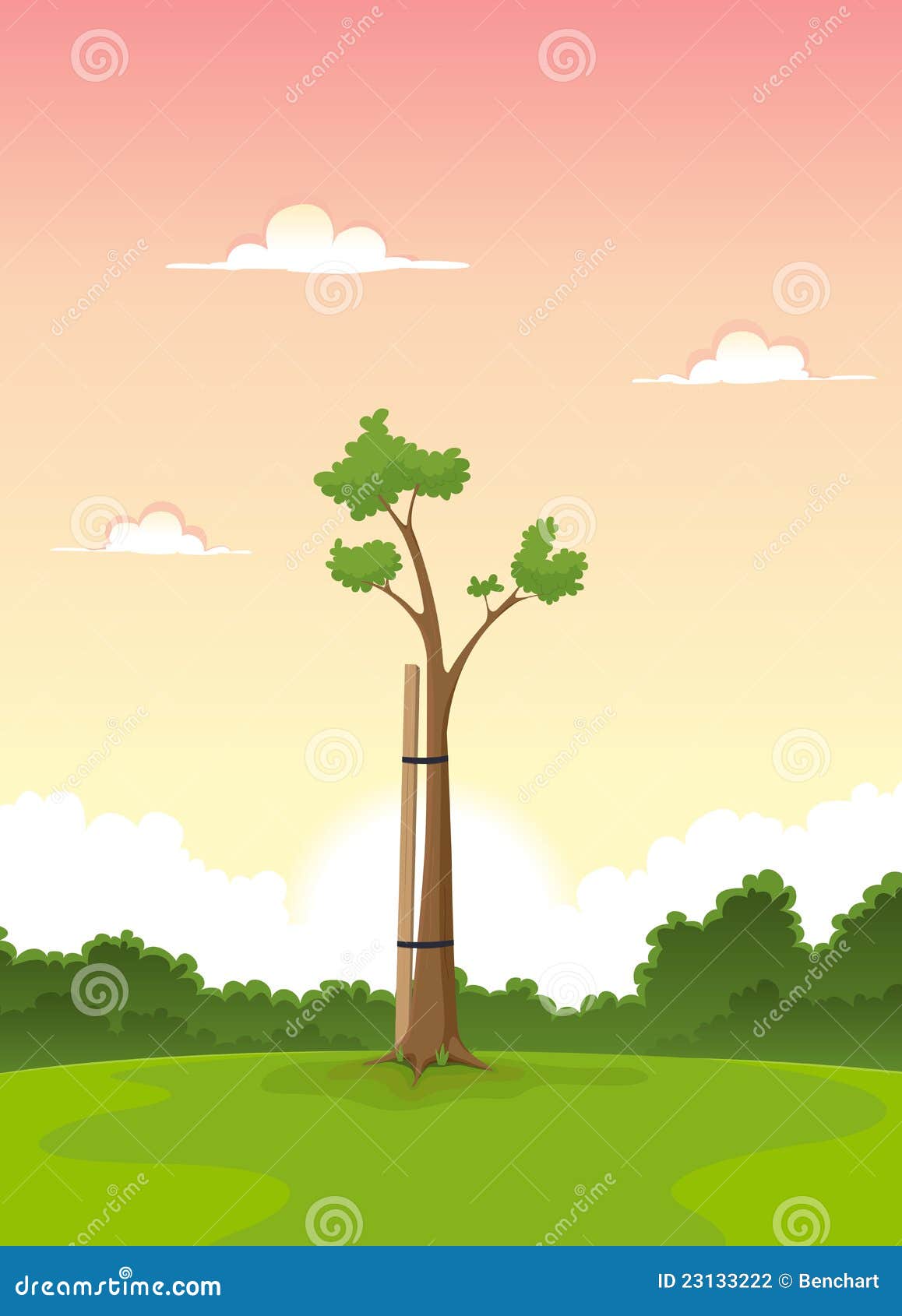 Spring Young Tree - Morning of Life Stock Illustration - Illustration ...