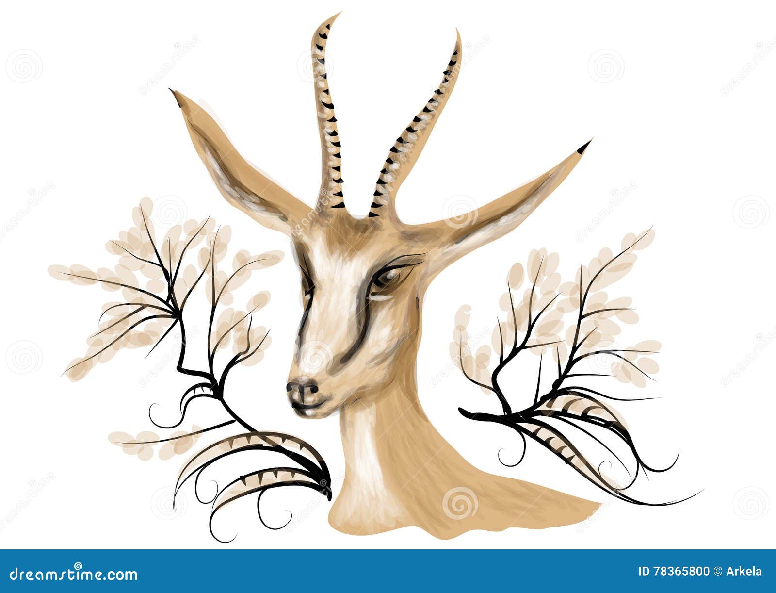 Springbok Ilustrações, Vetores E Clipart De Stock – (246 Stock ...