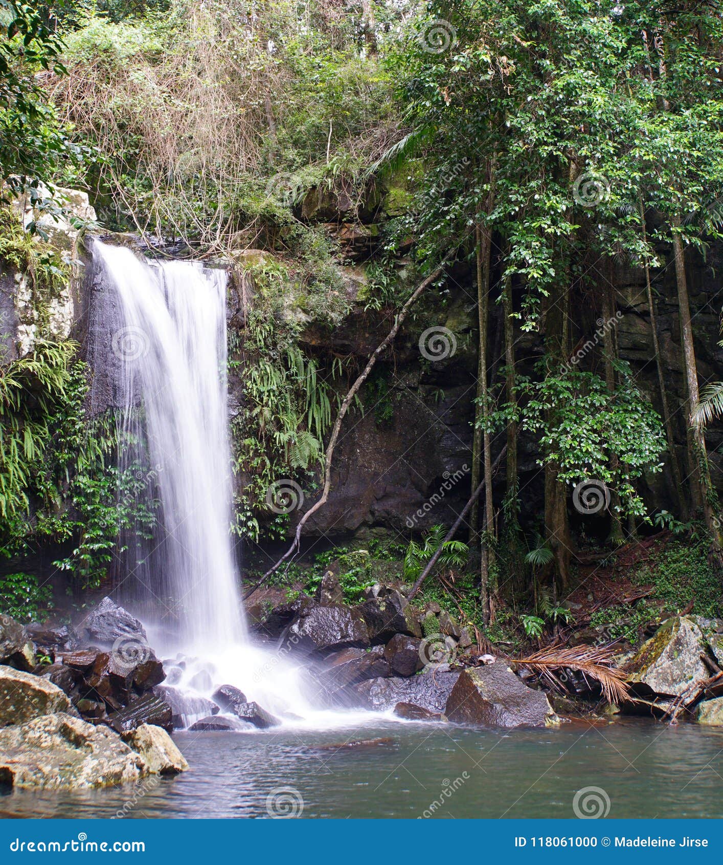 Waterfall Springbrook Nationalpark Stock Photo - Image of australia ...