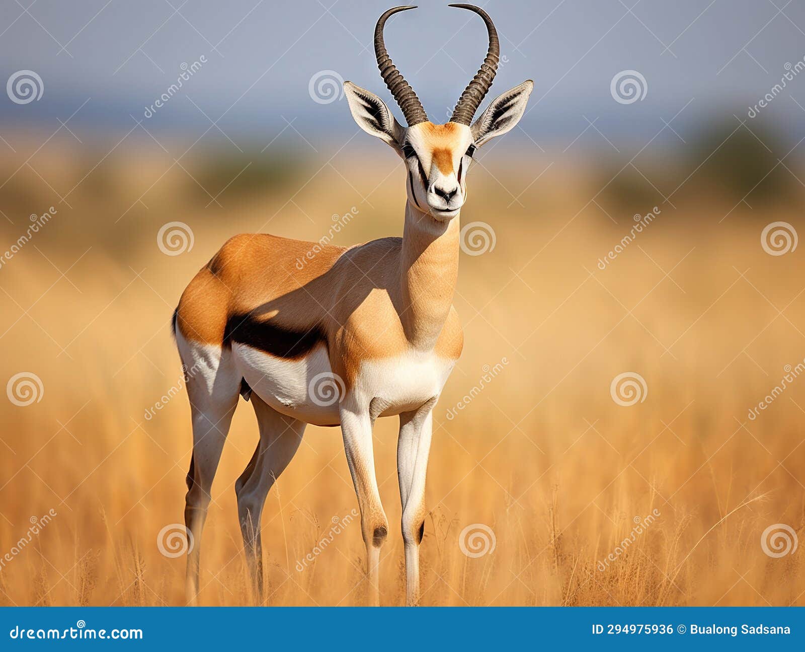 Springbuck Made with Generative AI Illustration Stock Illustration ...
