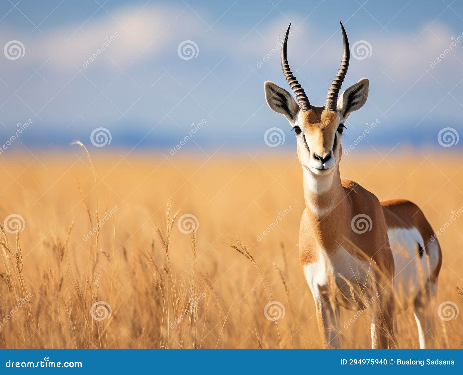 Springbuck Made with Generative AI Illustration Stock Illustration ...