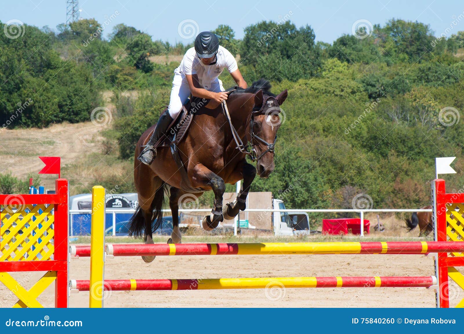 Springend Bepalend Woord Paard Racing Redactionele Afbeelding - Image ...