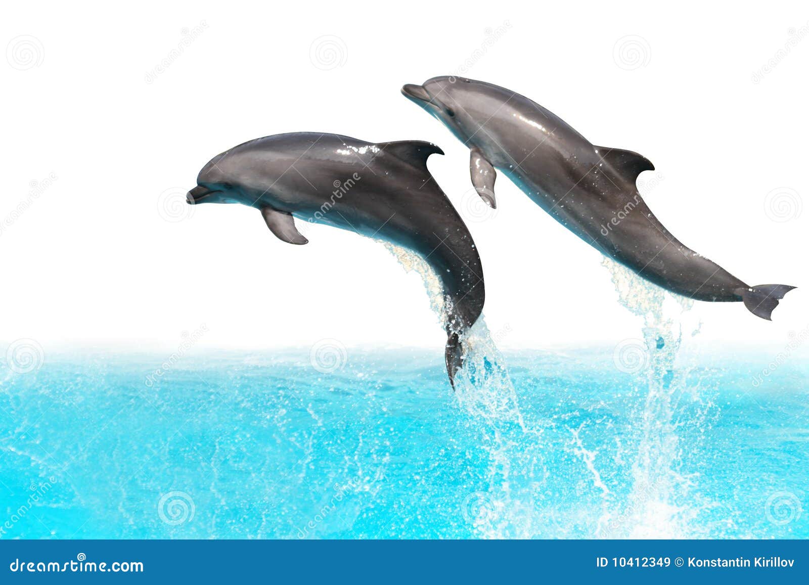 Springende Delphine stockbild. Bild von radar, spielerisch - 10412349