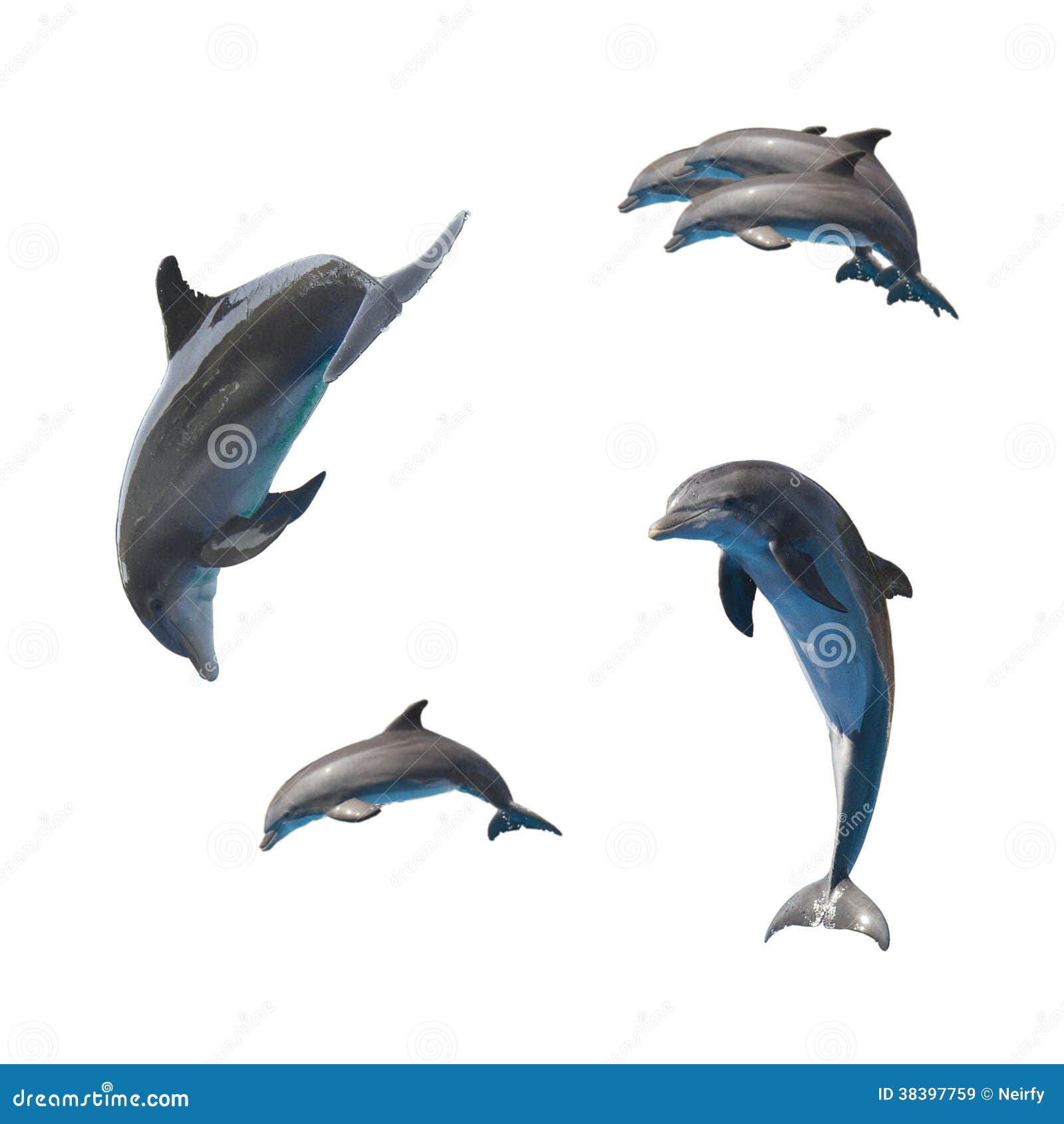 Springende Delphine Auf Weiß Stockbild - Bild von wasser, schönheit ...