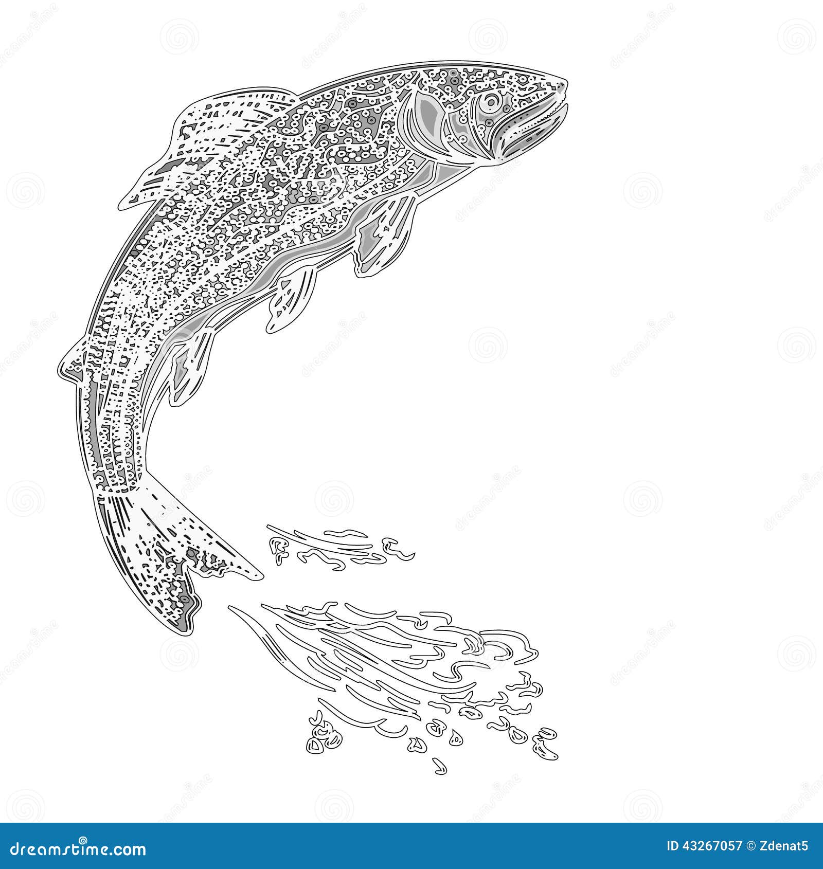 Springende Forel Als Wijnoogst Gegraveerde Vector Vector Illustratie ...