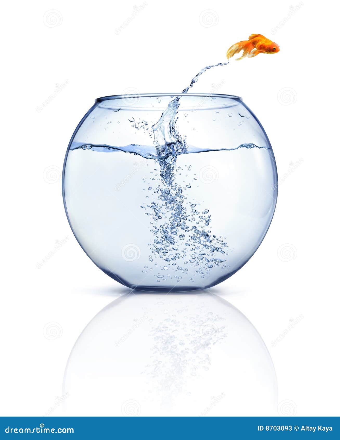 Springende Goudvis stock afbeelding. Image of vloeistof - 8703093