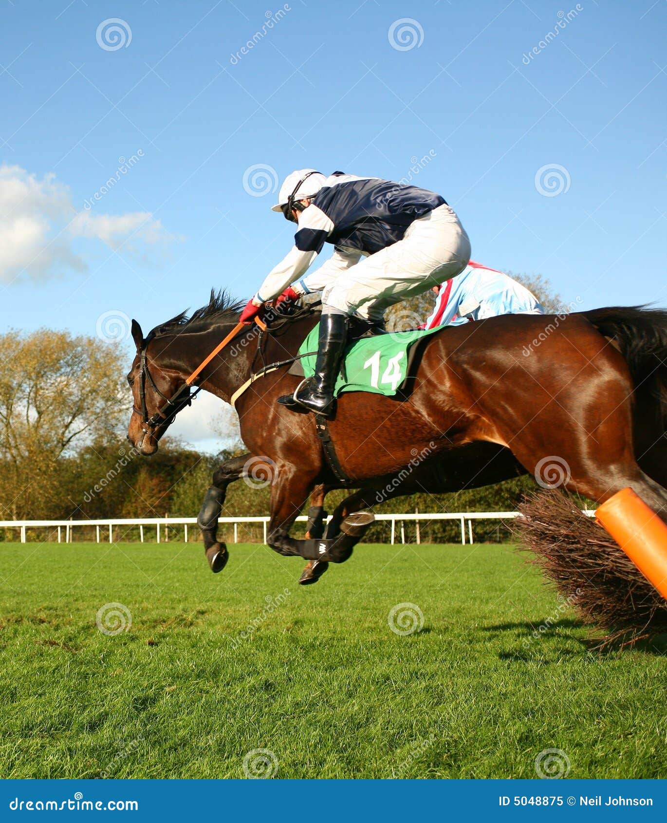 Springende Pferde stockbild. Bild von jockey, eingebürgert - 5048875