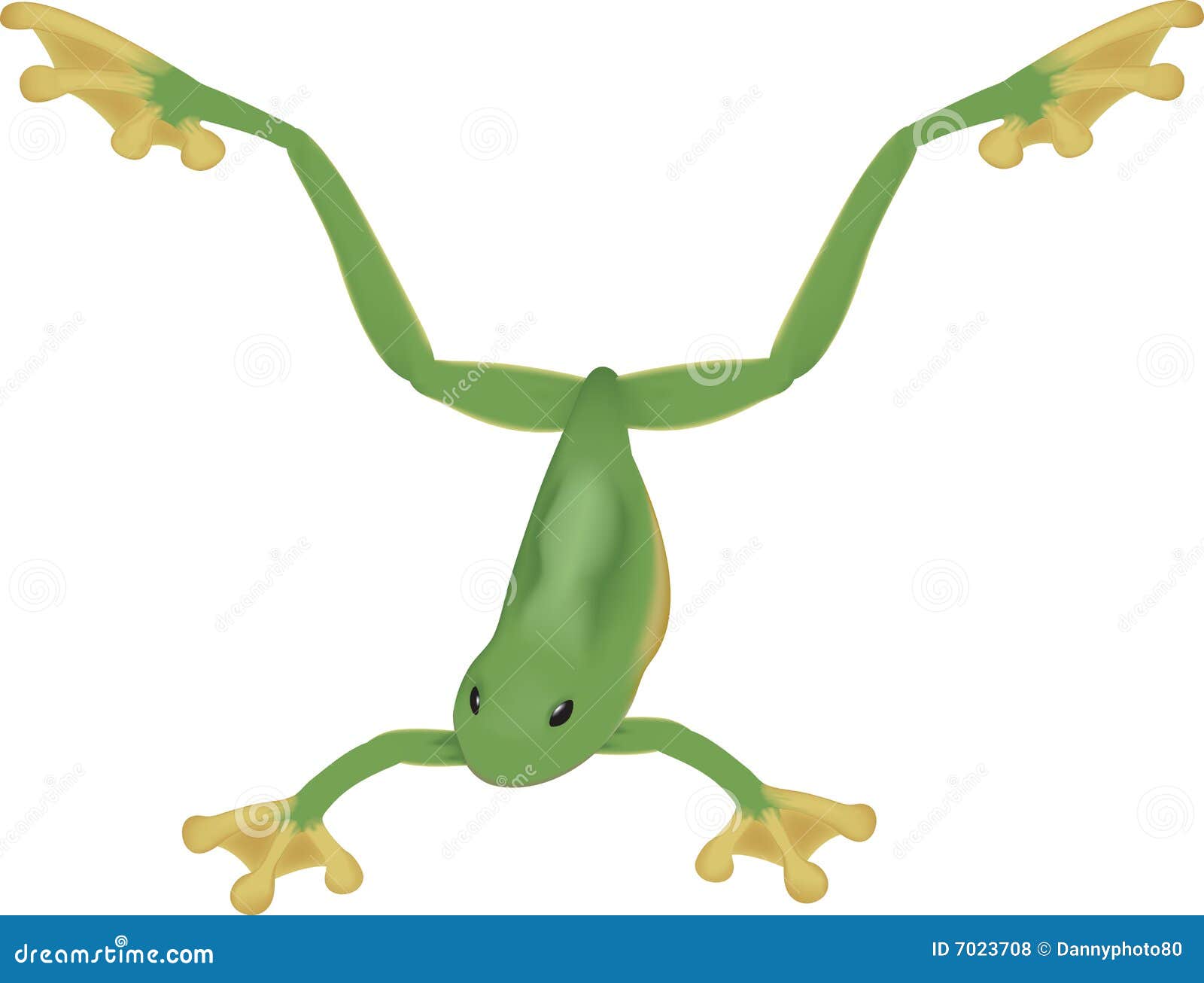 Springender Frosch stock abbildung. Illustration von abbildung - 7023708