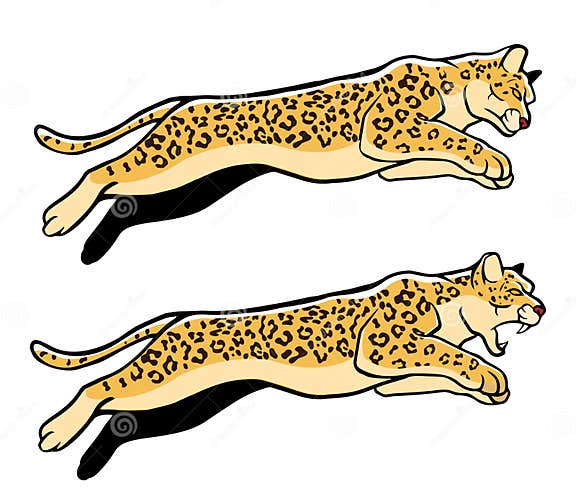 Springender Leopard vektor abbildung. Illustration von verwirren - 62916450