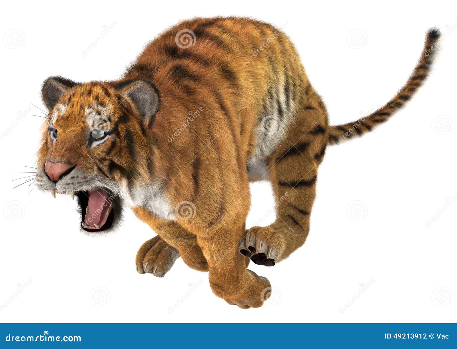 Springender Tiger stockfoto. Bild von gefährdet, angriff - 49213912