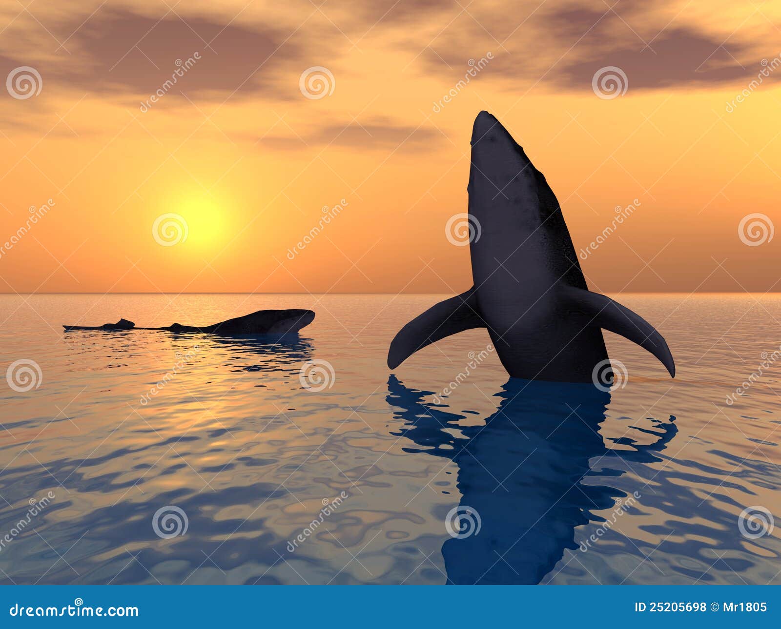 Springender Wal stock abbildung. Illustration von flosse - 25205698