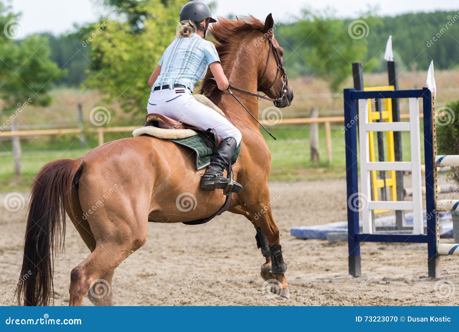 Springendes Erscheinen Des Pferds Stockfoto - Bild von jockey, braun ...