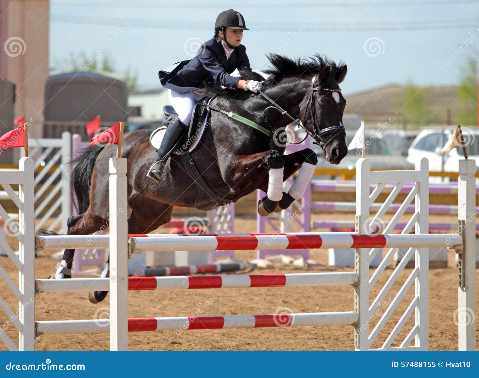 Springendes Hindernis Des Reiterpferderueckens Stockbild - Bild von ...