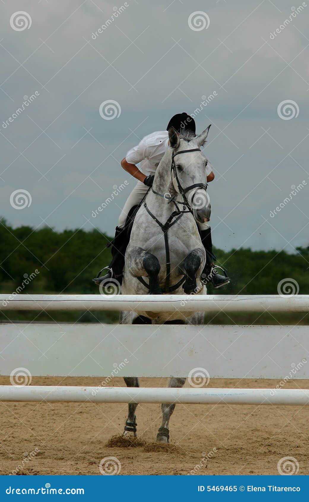 Springendes Pferd stockbild. Bild von läufer, fall, sturzhelm - 5469465