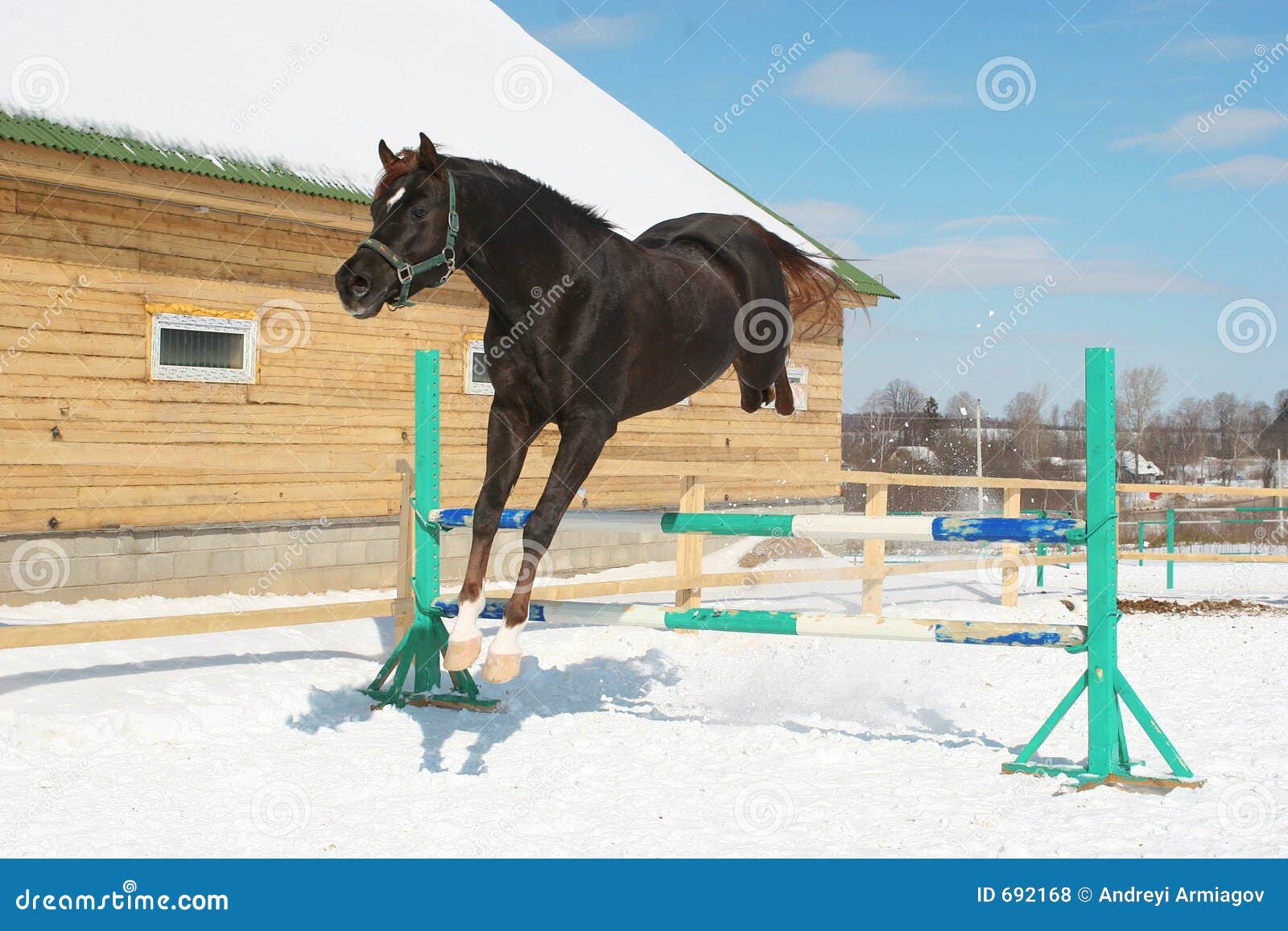 Springendes Pferd stockfoto. Bild von brut, schlamm, tier - 692168