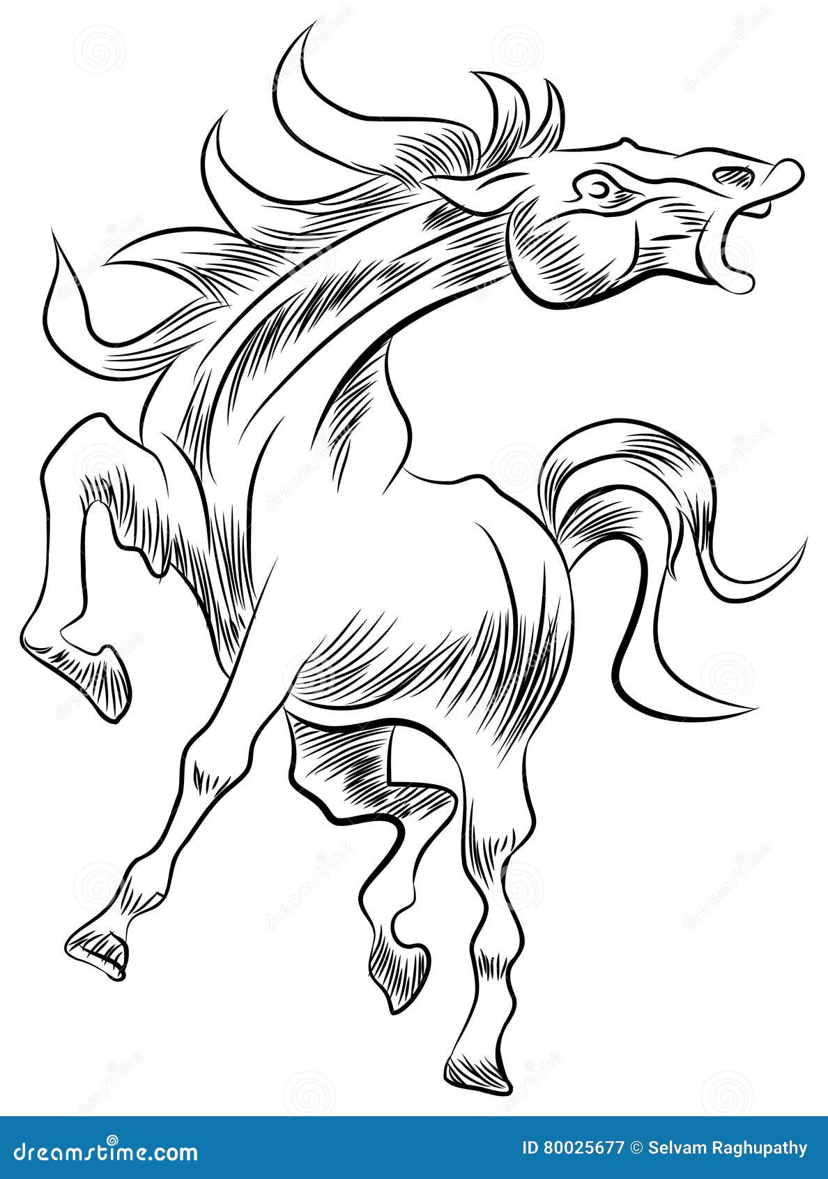 Springendes Pferd vektor abbildung. Illustration von freiheit - 80025677