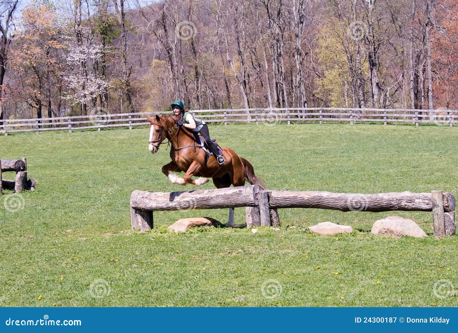 Springendes Pferd Auf Dem Gebiet Stockbild - Bild von aktiv, bäume ...